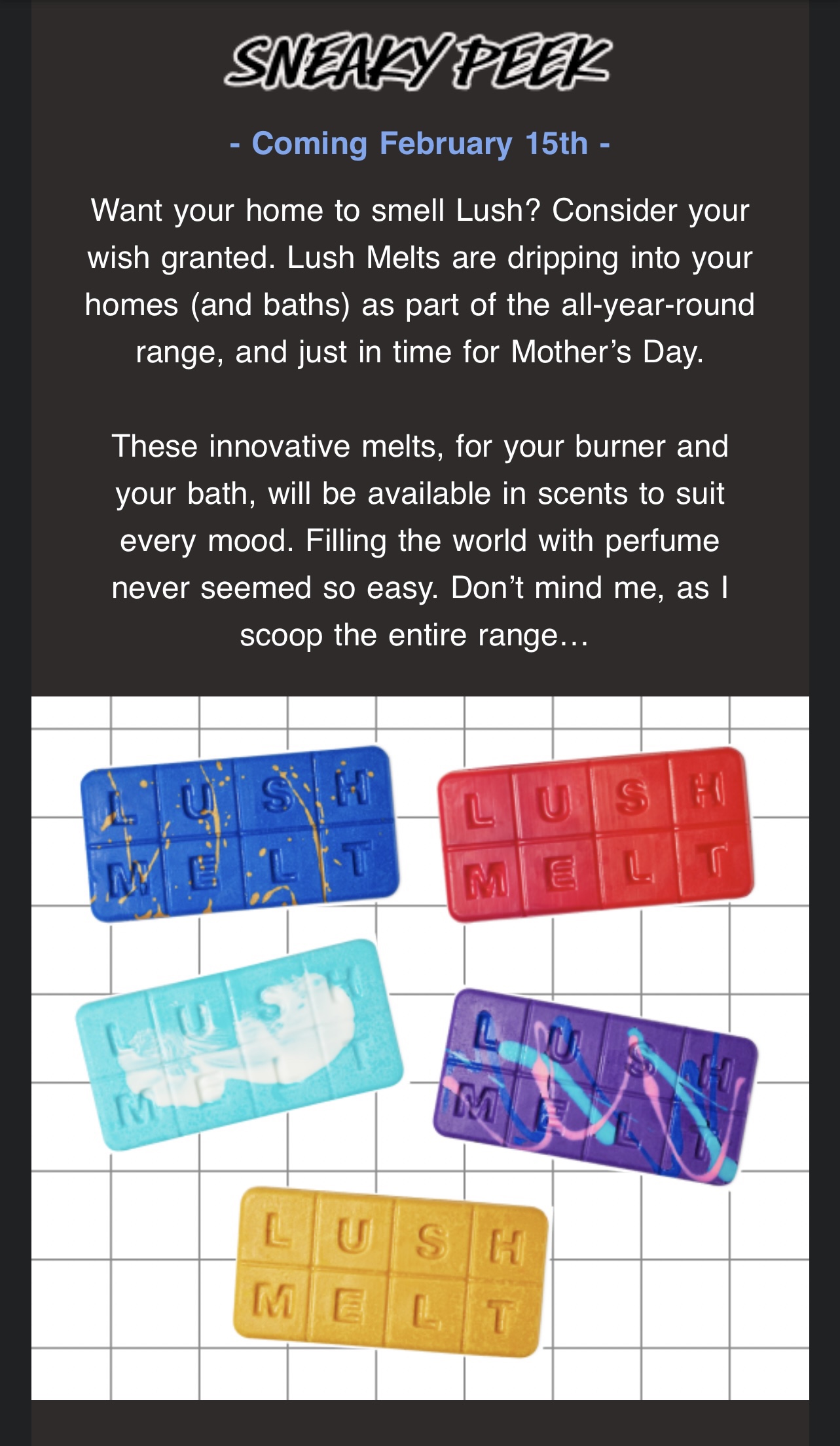 NEW Lush Product Reveal! | Lush Encyclopedia