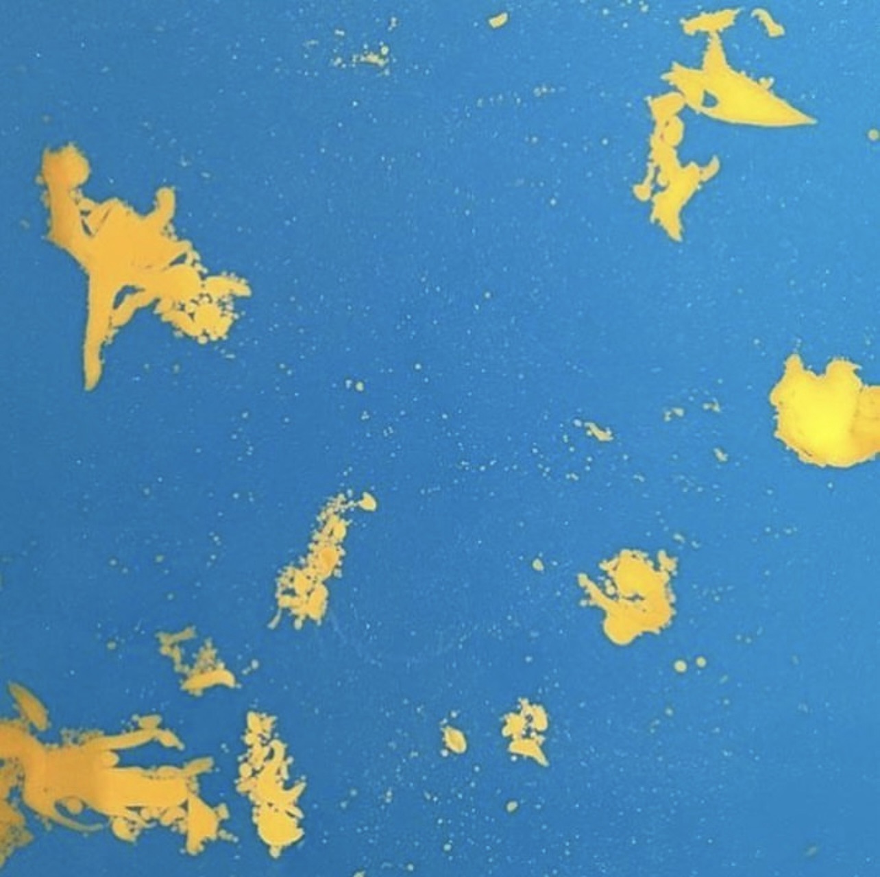 Shark Infested Custard | Lush Archive & Encyclopedia