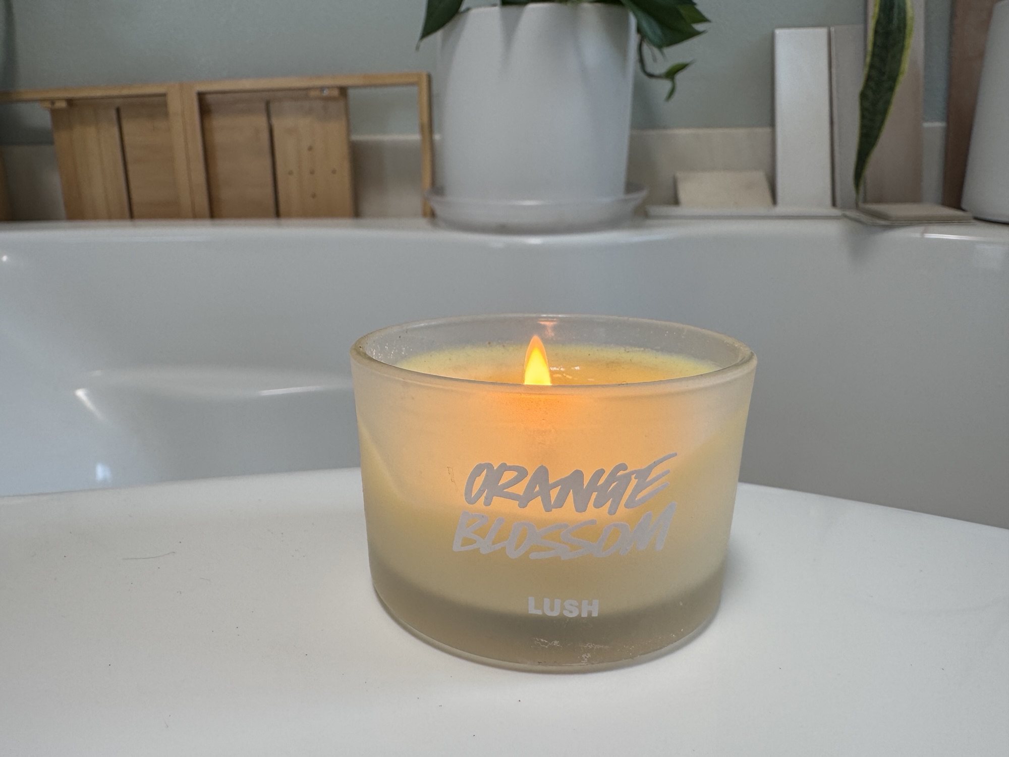 lush orange blossom candle | Lush Archive & Encyclopedia